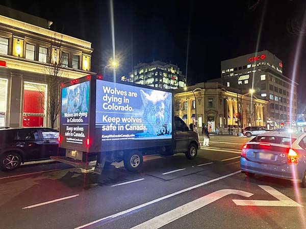 Faites Connaître Votre Marque avec les Camions Publicitaires de Grow More